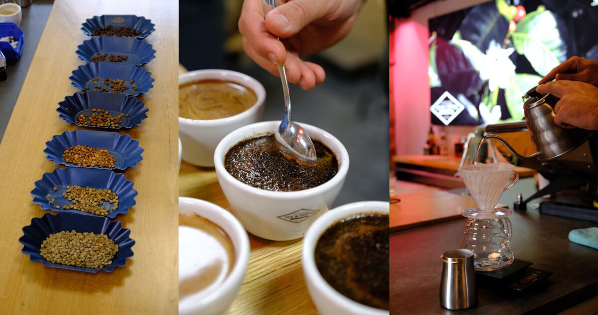 Training Introduction to Coffee - ITC Academy